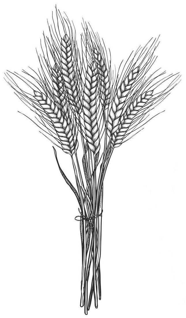 The Breadbox – Bugby Bread